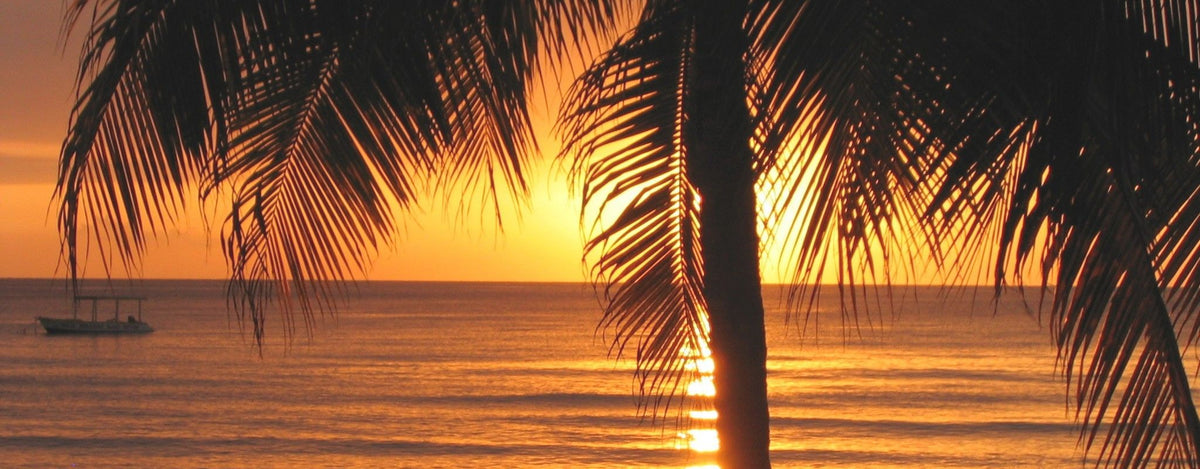 Peach and cardamom Island Sunset candle | Billie Rose – Billie Rose Candles